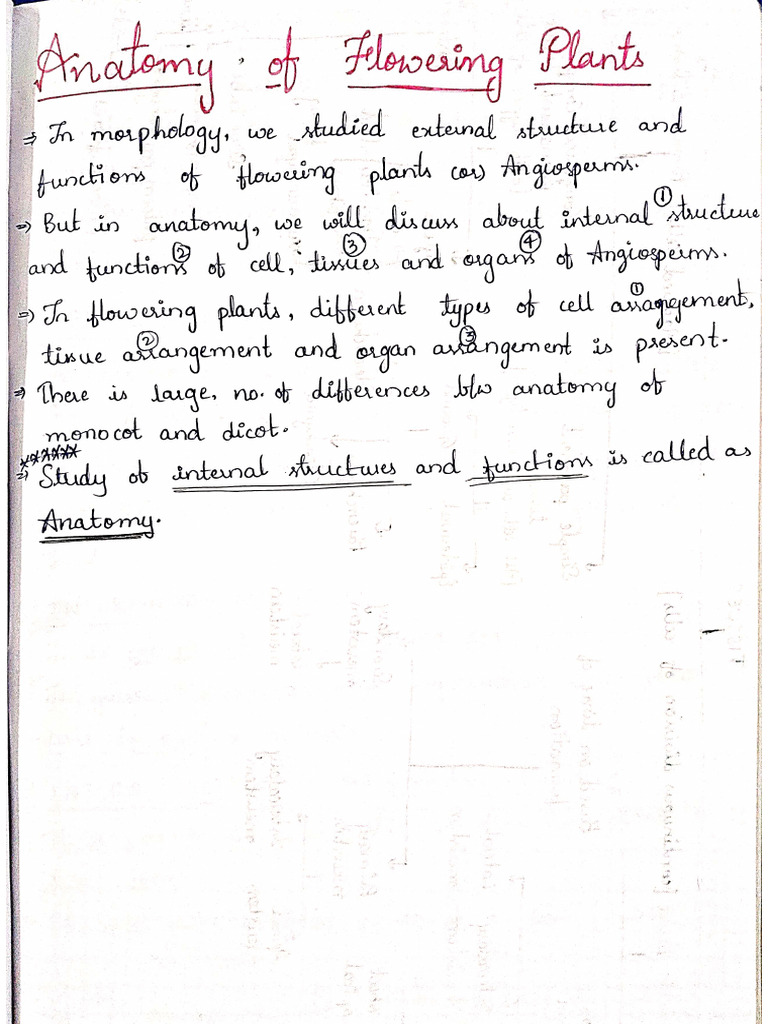 Anatomy of Flowering Plants | PDF