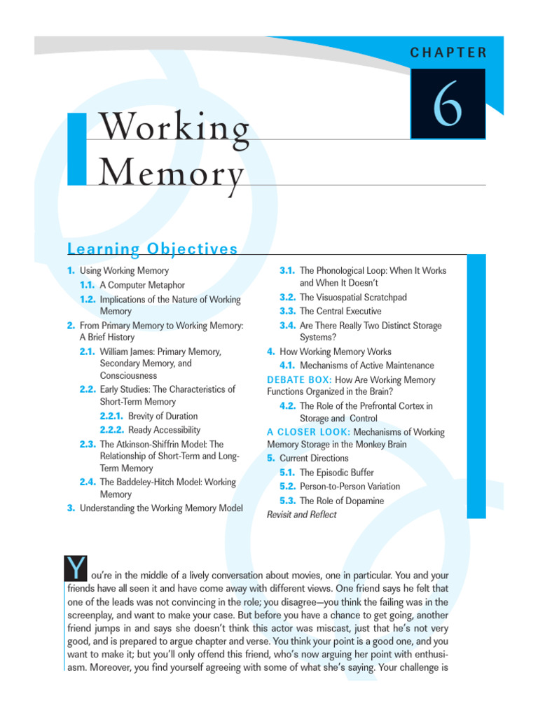 Working Memory | PDF | Working Memory | Memory