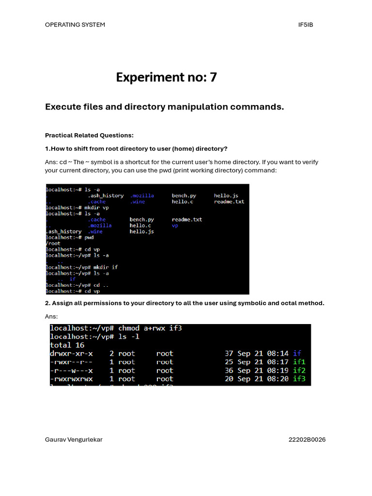 File and Directory Commands Guide | PDF