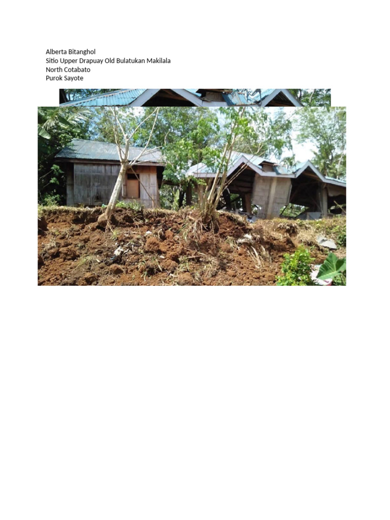 Alberta Bitanghol | PDF