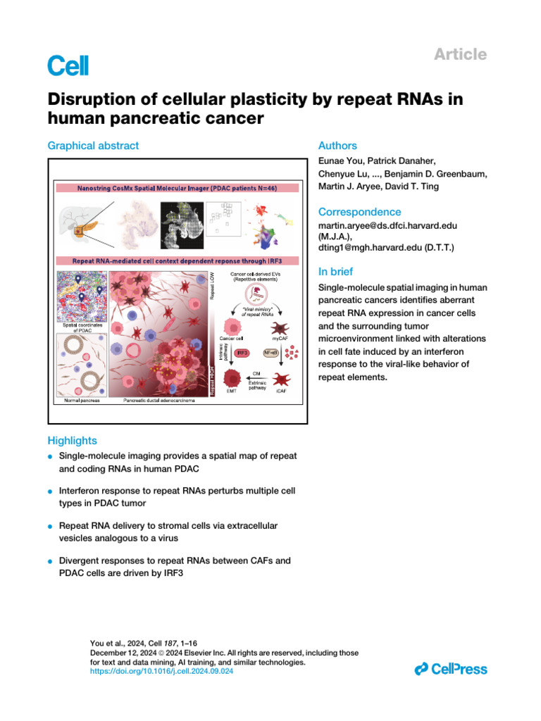 Dissruption of Cellular Plasticity by Repeat RNAs in Human Pancreatic ...