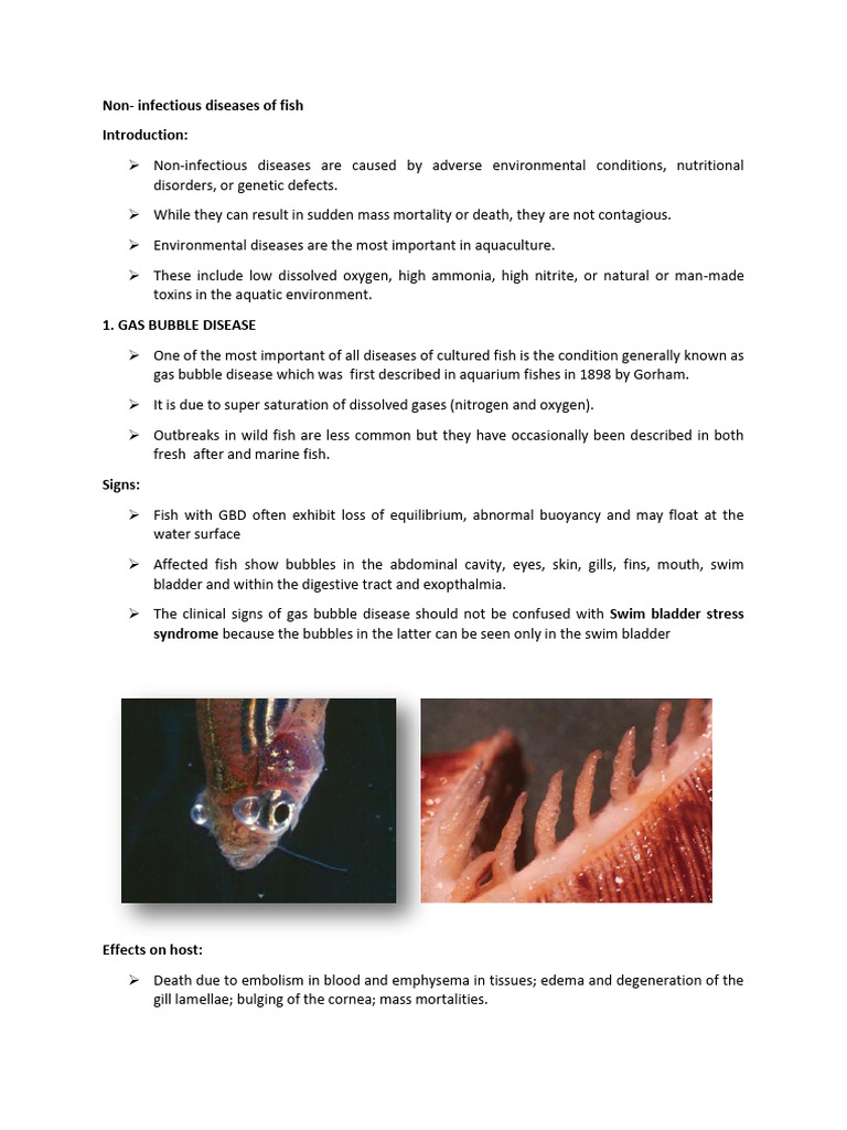 C16 | PDF | Fish | Gill