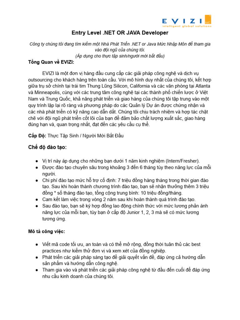 Entry Level Developer - Evizi | PDF