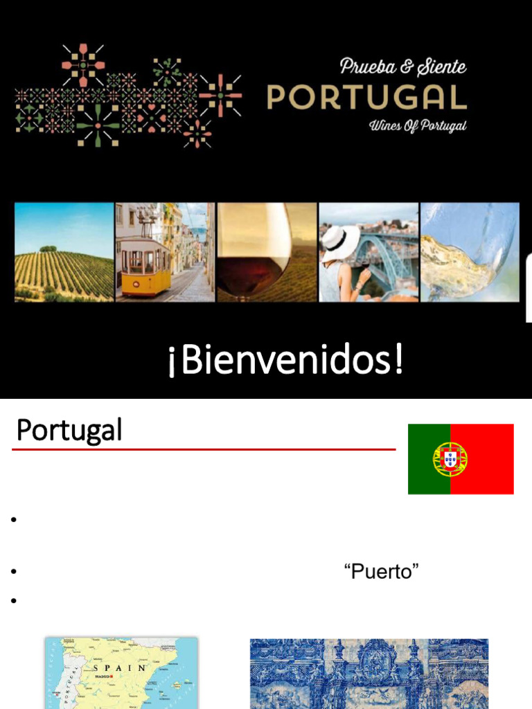 Portugal | PDF | Vino | Uva