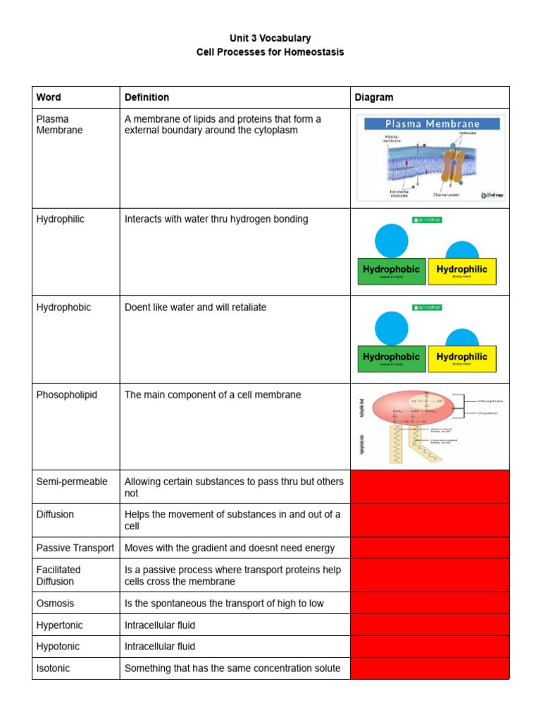 GRAYSON HANSON - Unit 3 Vocabulary - 14223700 | PDF