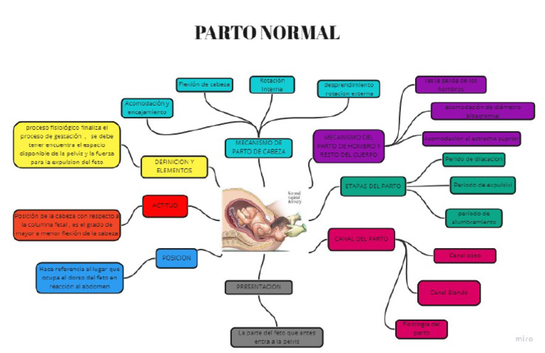Parto Normal | PDF