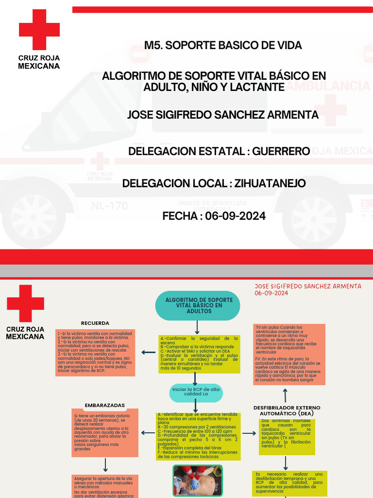 Algoritmos BLS (Adulto, Niño, Lactante) | PDF | Reanimación ...