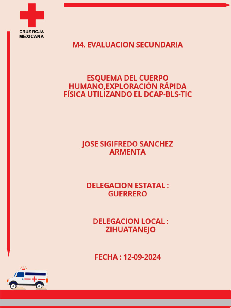 Esquema Del Cuerpo Humano, Exploración Rápida Física Utilizando El DCAP ...