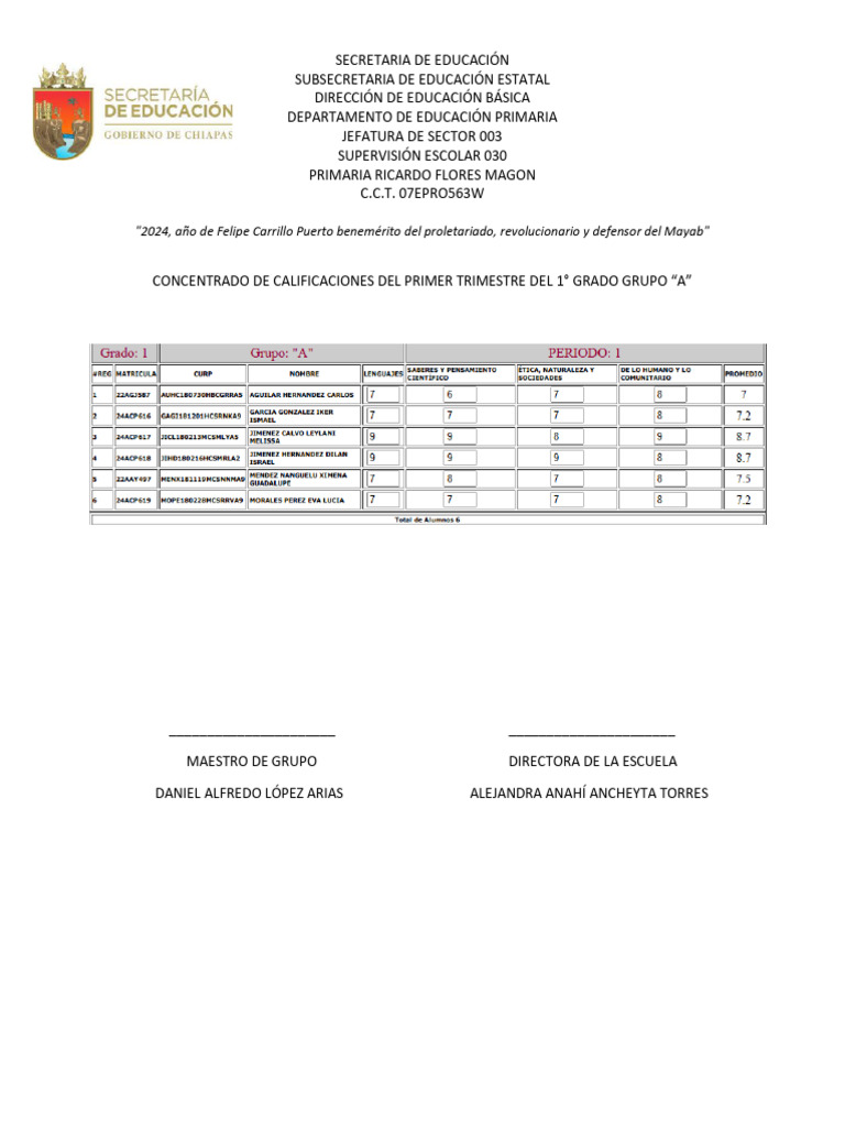 Concentrado de Calificaciones Del Primer Trimestre Magon | PDF