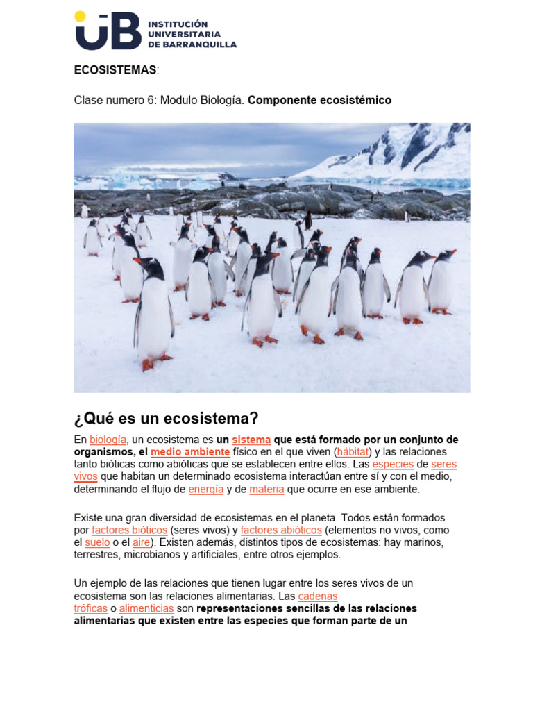Clase 6 IUB Ecosistemas | PDF | Ecosistema | Red alimentaria