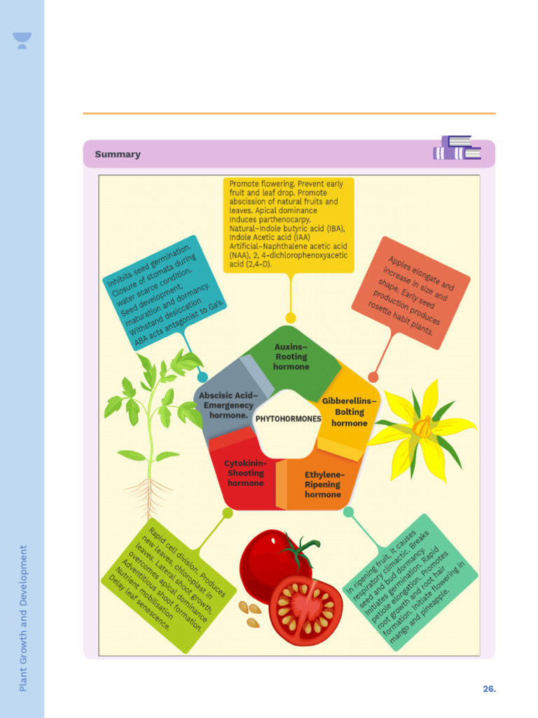Plant Growth and Development 6 | PDF