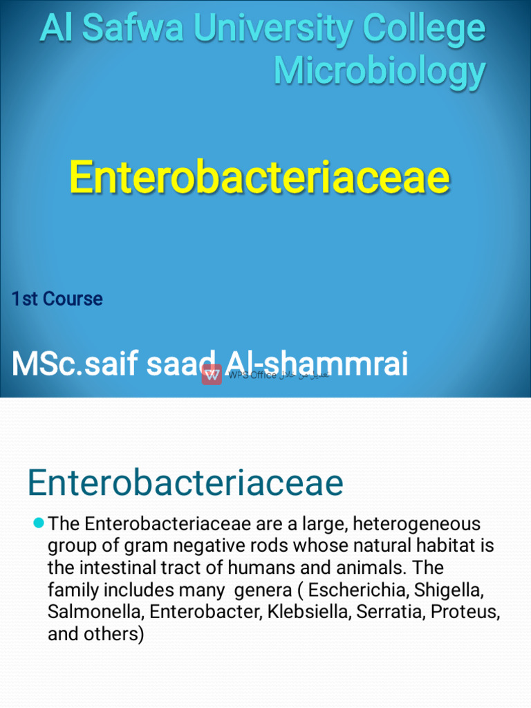 Enterobacteriaceae (4) | PDF | Escherichia Coli | Salmonella