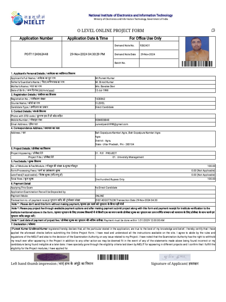 NIELIT O Level Project Application Form | PDF