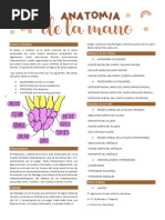 Anatomía de Retináculos y Canal de Guyon | PDF | Mano | Anatomía