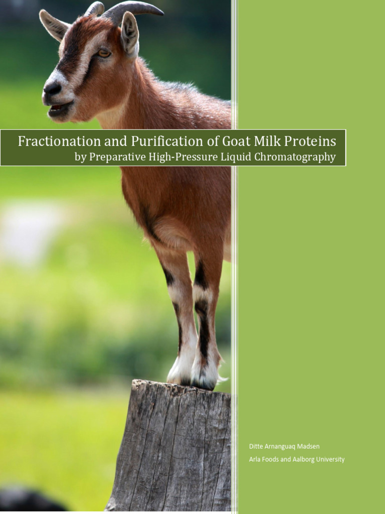 Fractionation and Purification of Goat Milk Protein | PDF | High ...