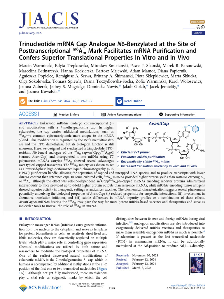Warminski Et Al 2024 Trinucleotide Mrna Cap Analogue n6 Benzylated at ...