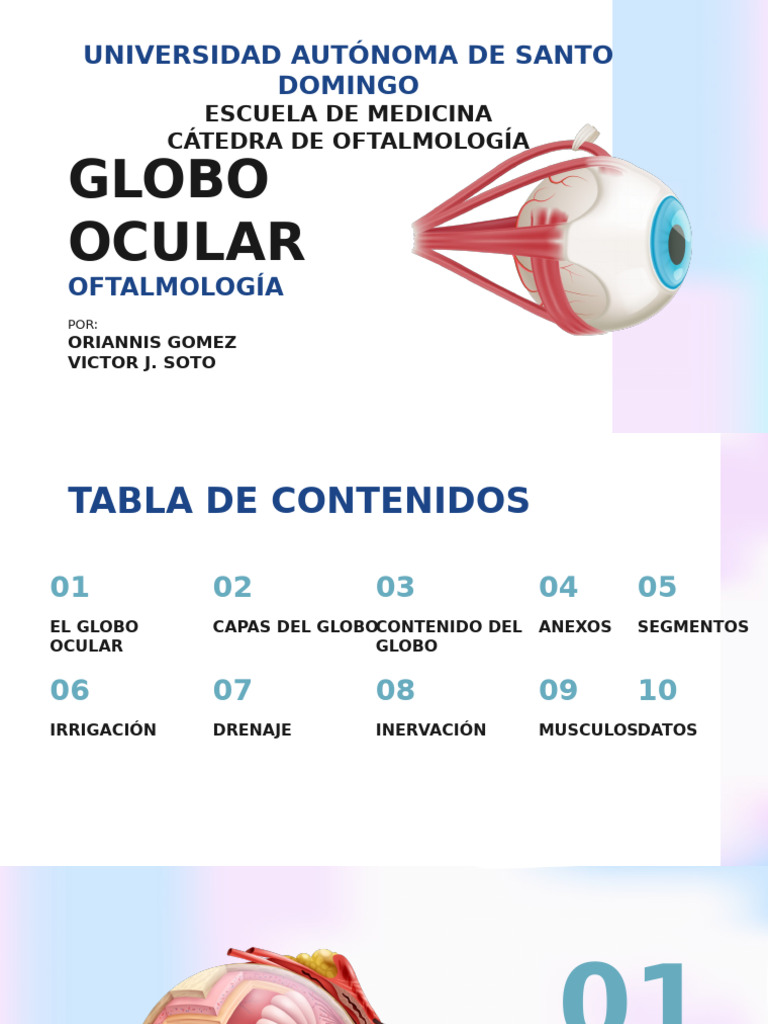 Estructura y Función del Globo Ocular | PDF