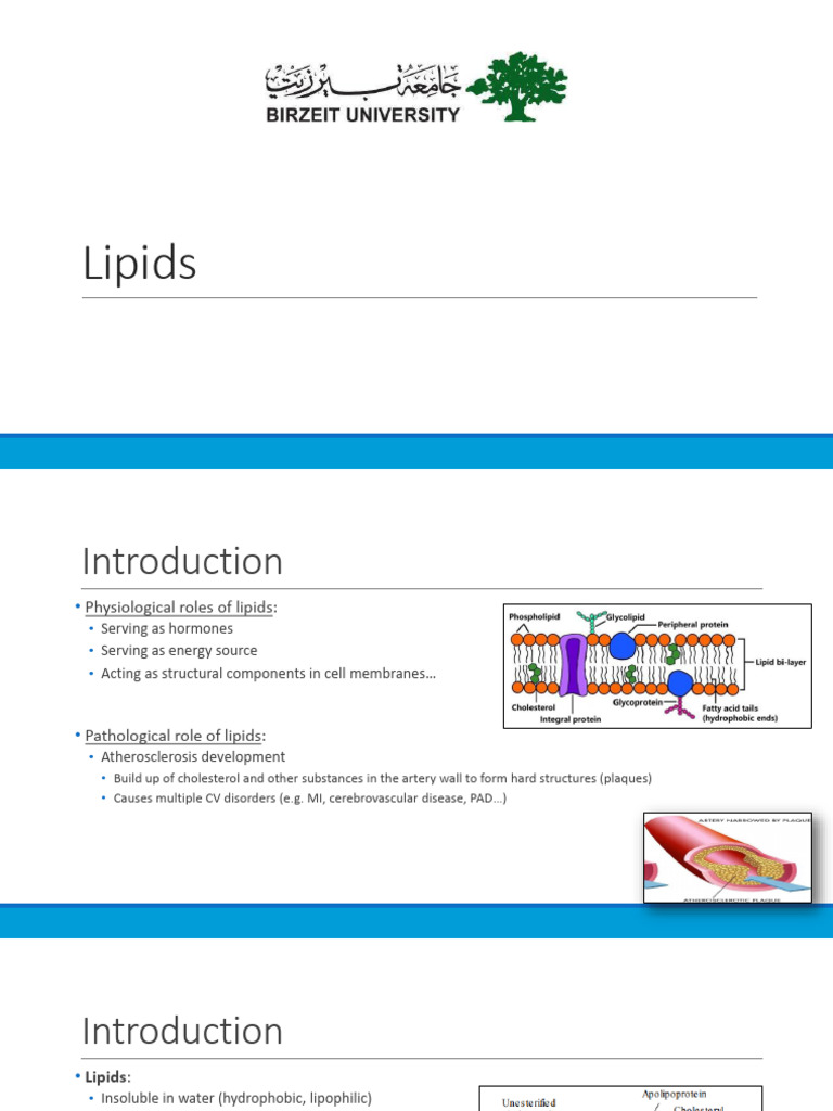 LM4 +Lipids | PDF | Lipoprotein | Cholesterol