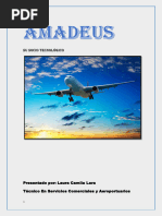 Manual de Amadeus Críptico | PDF | aerolíneas | Aviación
