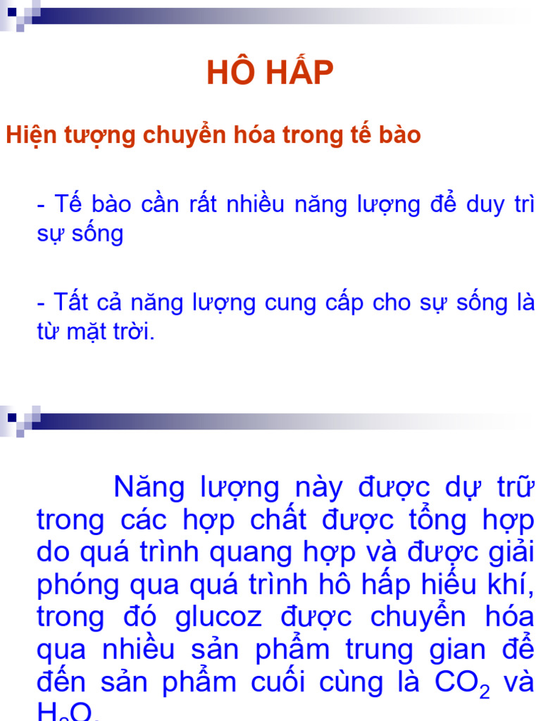 Ho Hap-1lk | PDF