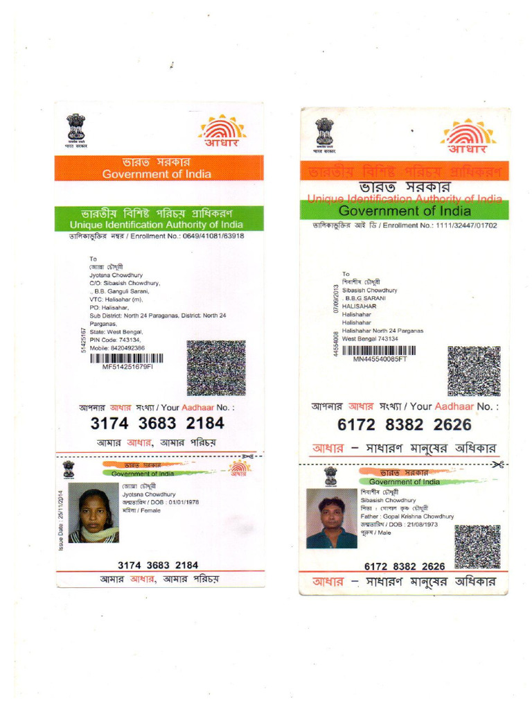 Aadhaar | PDF