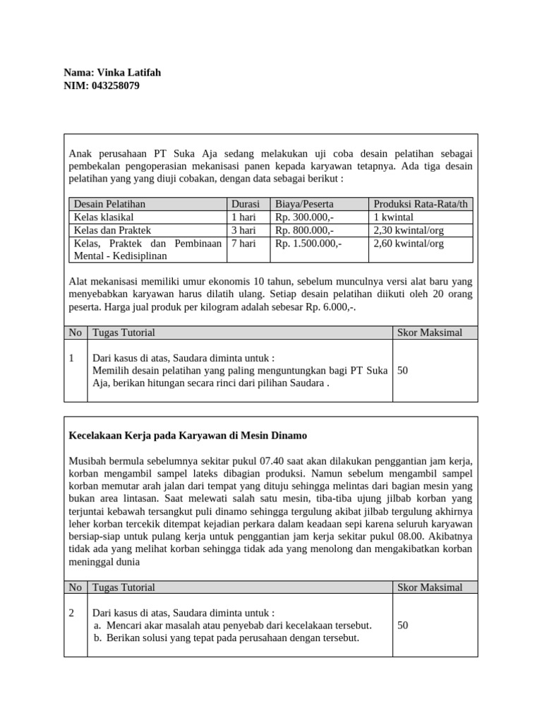 Tugas 3 Audit SDM | PDF