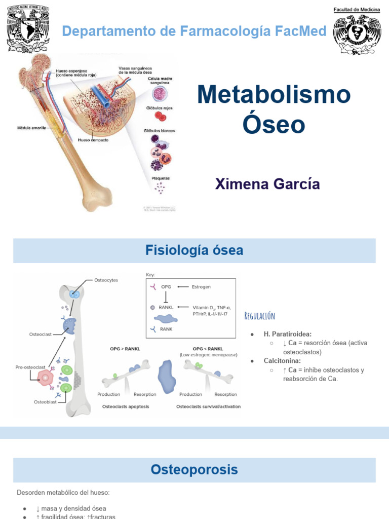 Metabolismo Óseo | PDF | Osteoporosis | Hueso