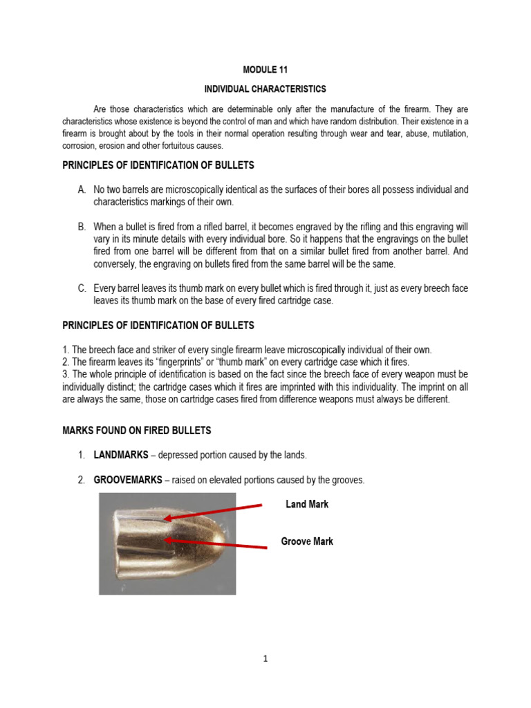Forensic Ballistics Module 11 | PDF | Gun Barrel | Bullet