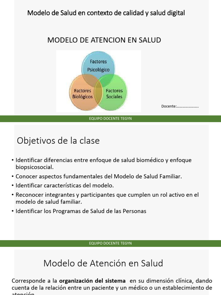 Modelo de Salud Completo | PDF | Enfermería | Maestros