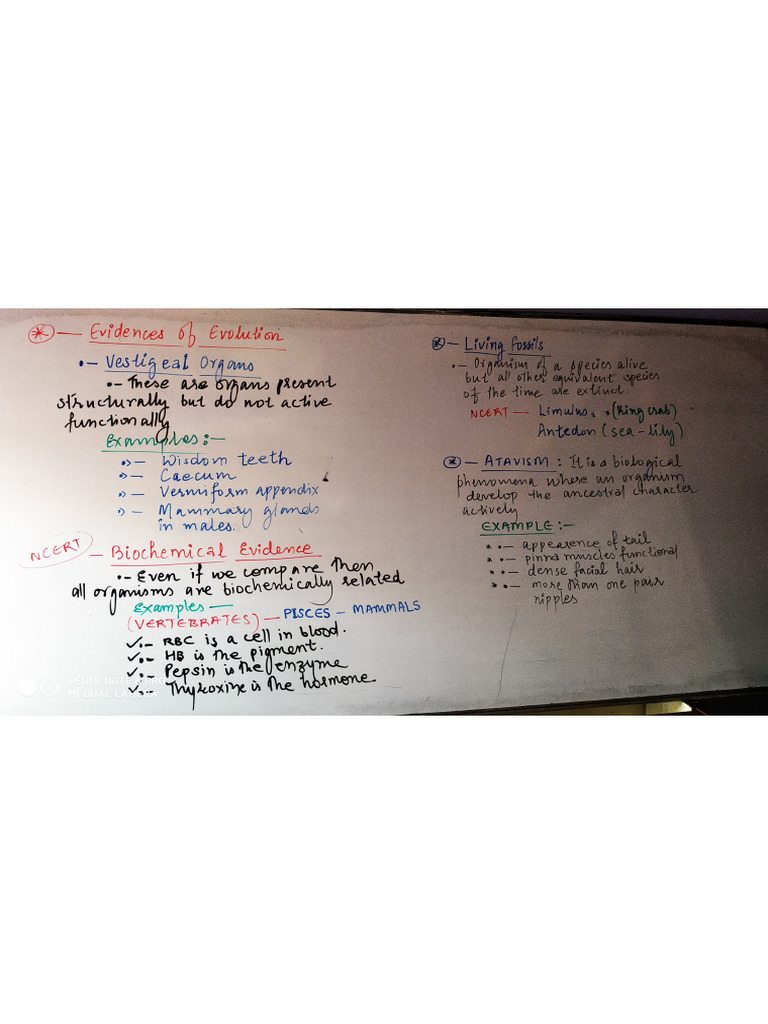 Evolution Part 2 | PDF