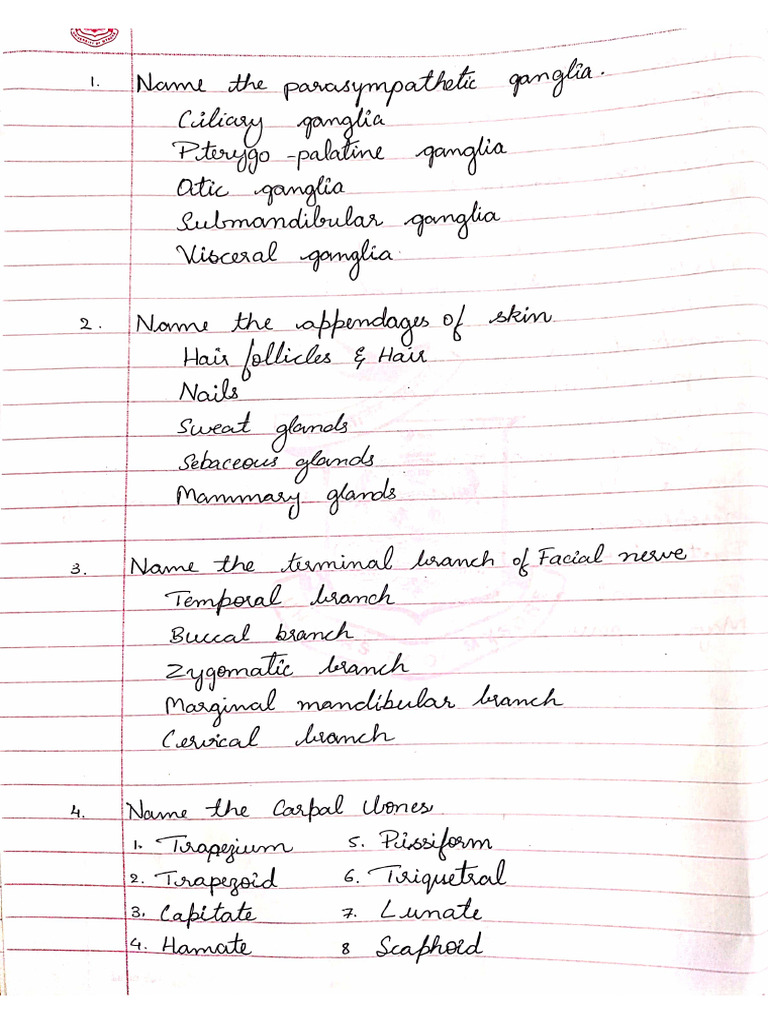 Anatomy 3marks | PDF