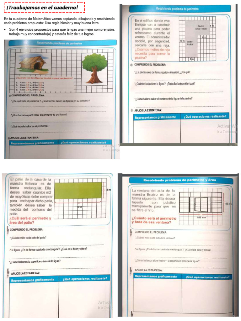 Fichas de Aplicacion13.11.24 | PDF
