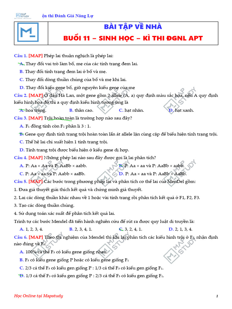 Tai Lieu - Buoi 11 Bai Tap Ve Nha 1733285675117 | PDF