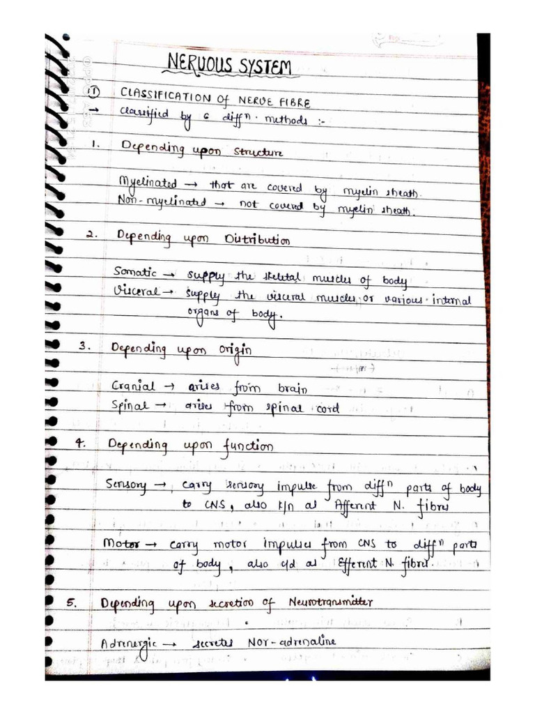 Johari Cns Notes - 240729 - 105532 | PDF