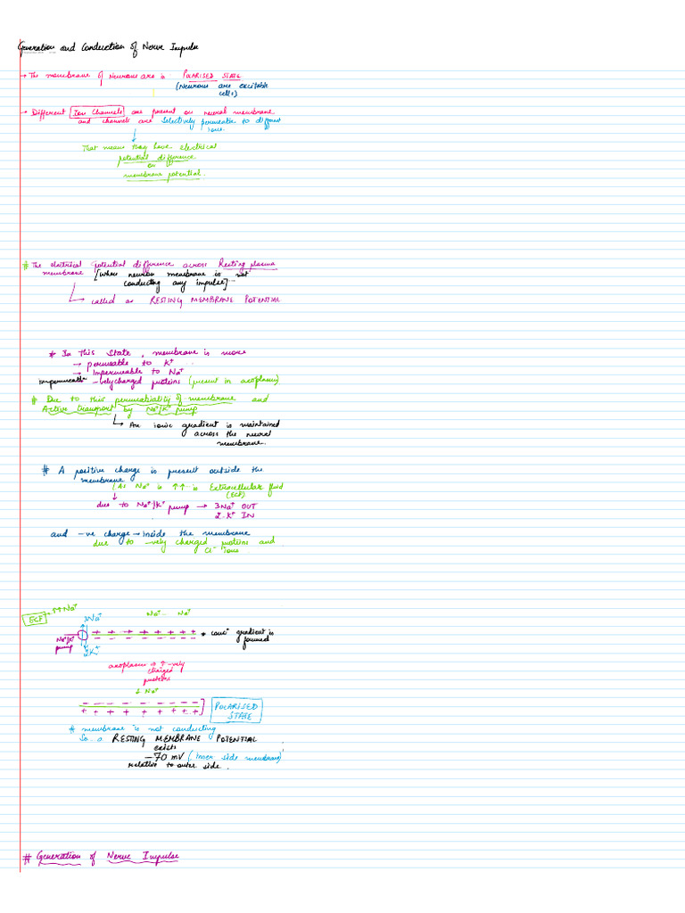Neural System. Generation and Conduction of Nerve Impulse | PDF Neural System. Generation and Conduction of Nerve Impulse | PDF