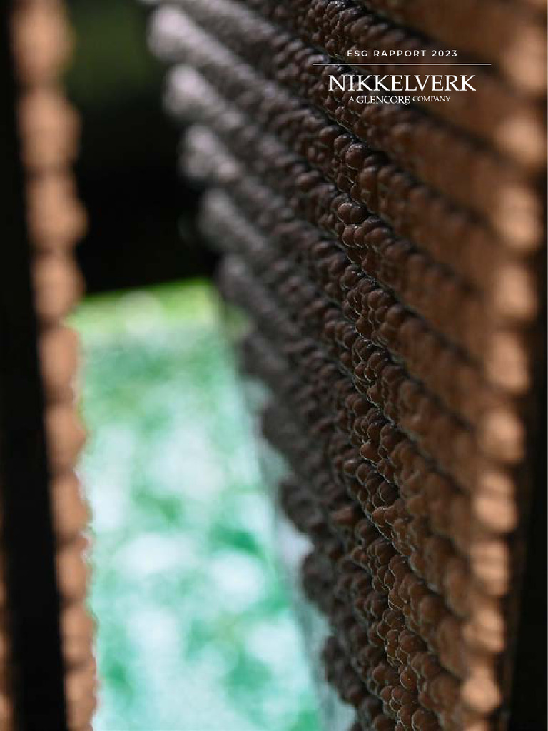 Glencore ESG 24_int | PDF