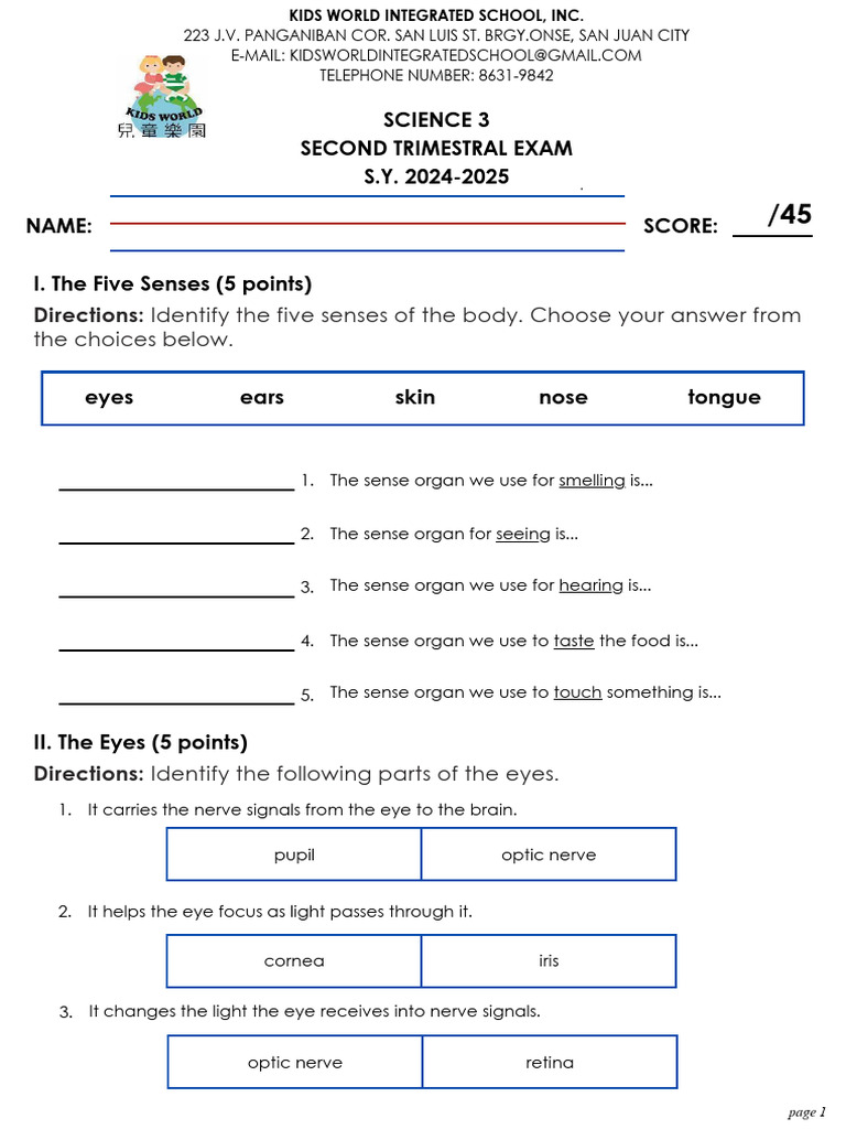 2ND TRIM MODIFIED SCIENCE 3 EXAM | PDF | Ear | Senses