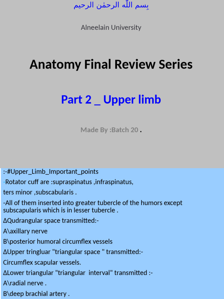 Anatomy Final Review-Upper | PDF | Thumb | Arm