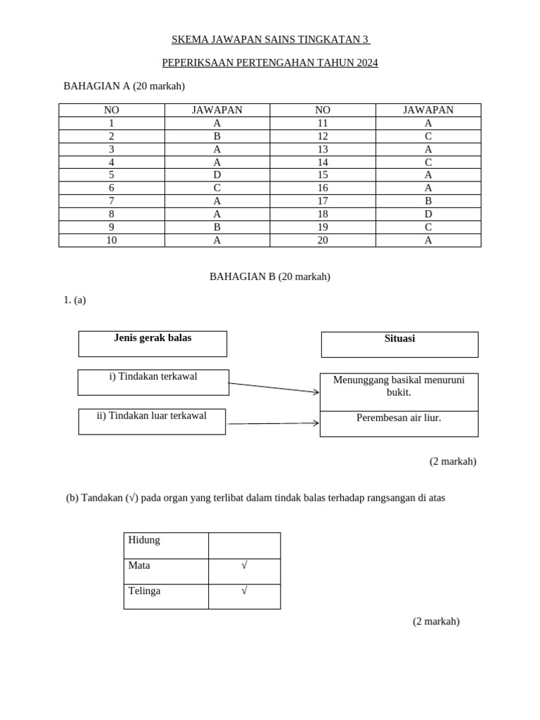 Skema PPT Sains T3 2024 | PDF