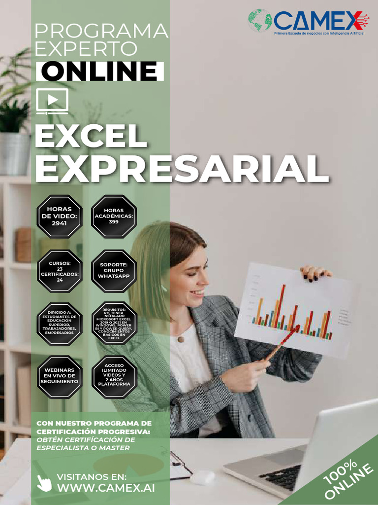 EXCEL Empresarial | PDF | Máster en Administración de Empresas | Business