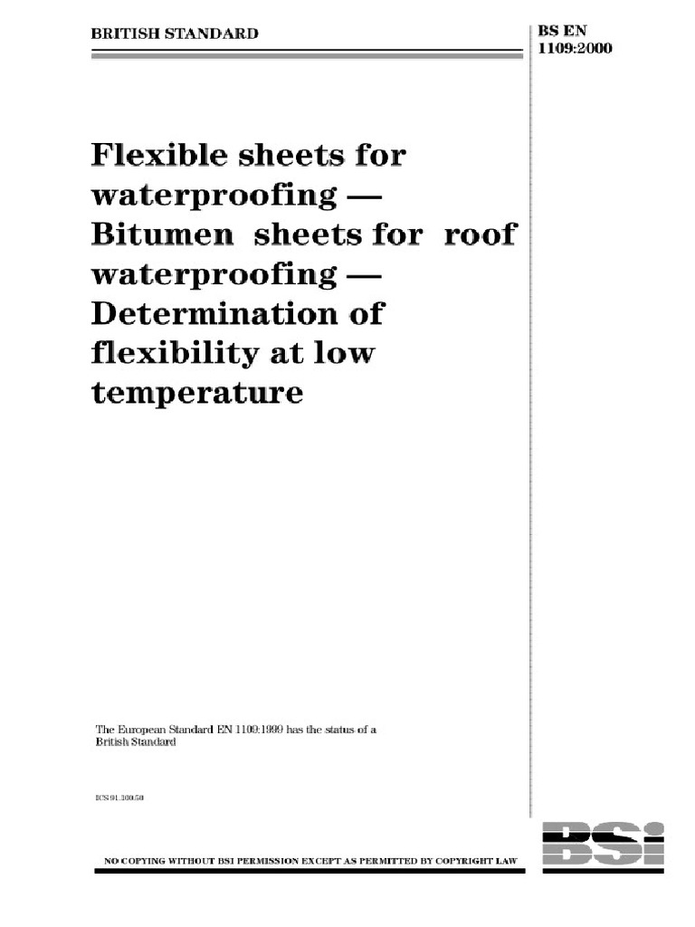 BS en 1109-00 | PDF