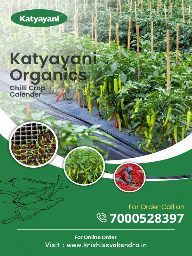 Chilli Crop Calenders | PDF | Soil | Chili Pepper