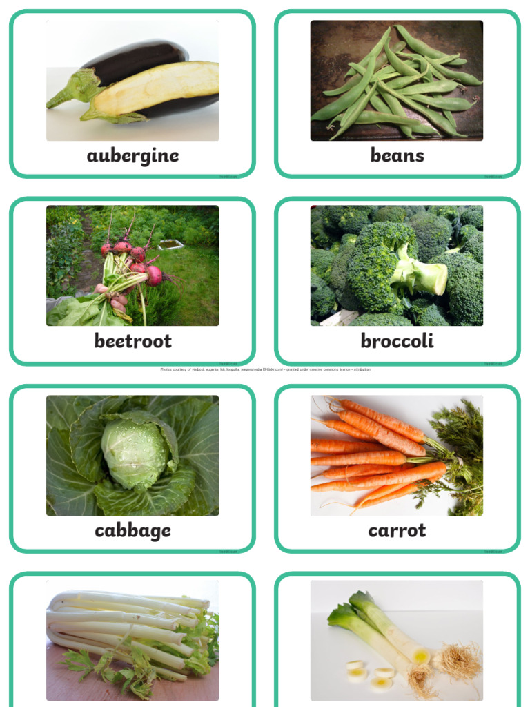 T TP 482 Vegetable Flashcards | PDF | Vegetables | Crops