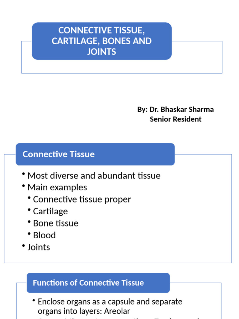 Connective Tissue and Joint Classification | PDF | Connective Tissue | Bone