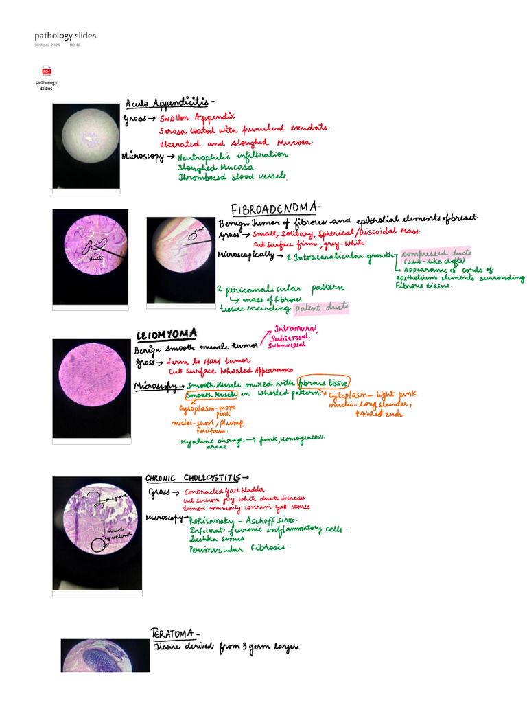 Pathology Slides Final | PDF