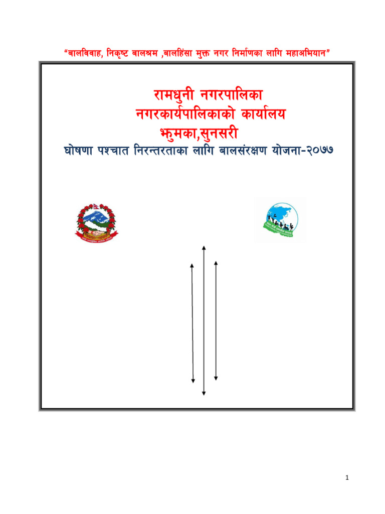 Child Protection Plan | PDF