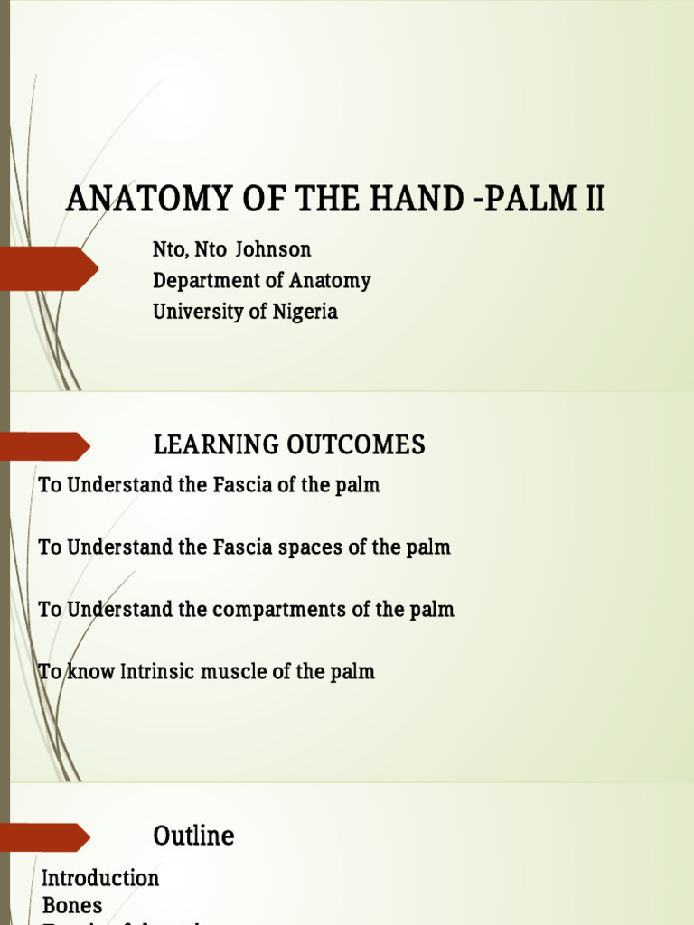 Anatomy of the Hand -Palm II, Nto Johnson Nto | PDF | Thumb | Hand