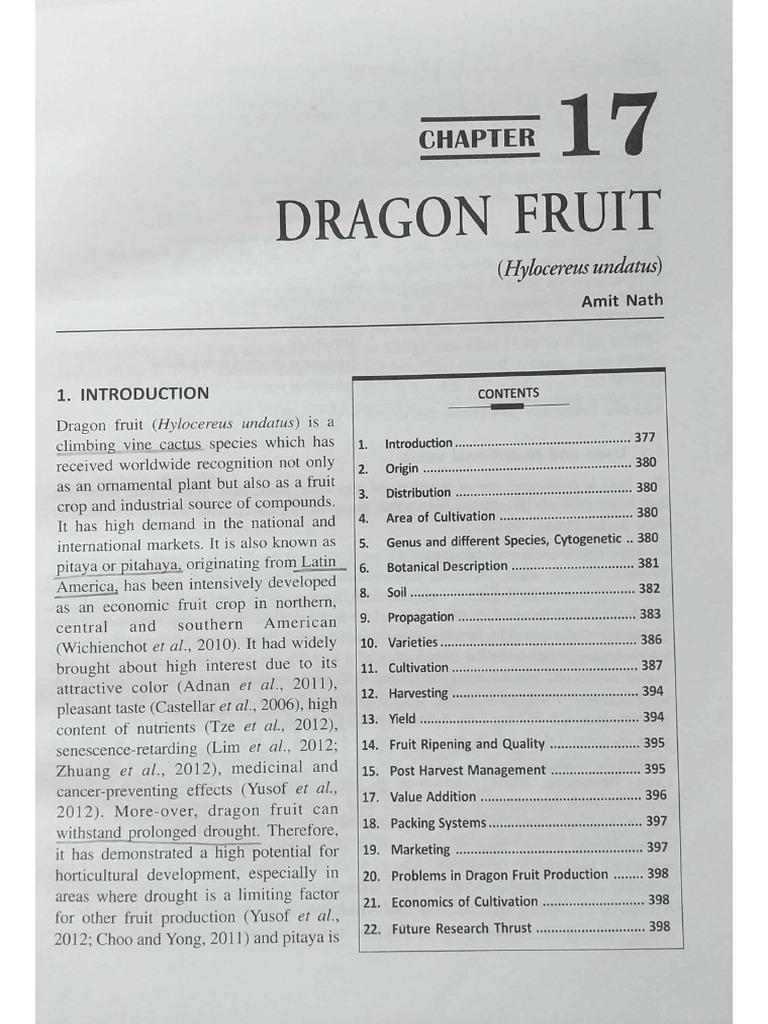 Dragon Fruit Notes | PDF