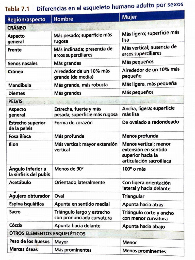 Anatomía Humana Pearson | PDF | Pelvis | Sistema musculoesquelético