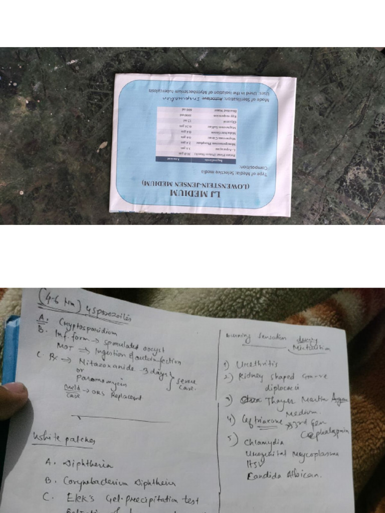 Micro Practical | PDF